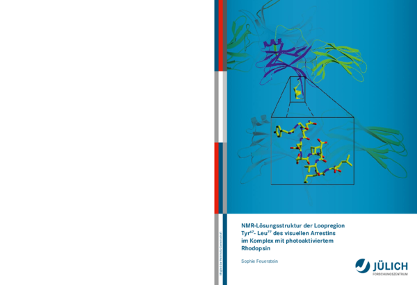 (PDF) NMR-Lösungsstruktur der Loopregion Tyr67 - Leu77 des visuellen ...