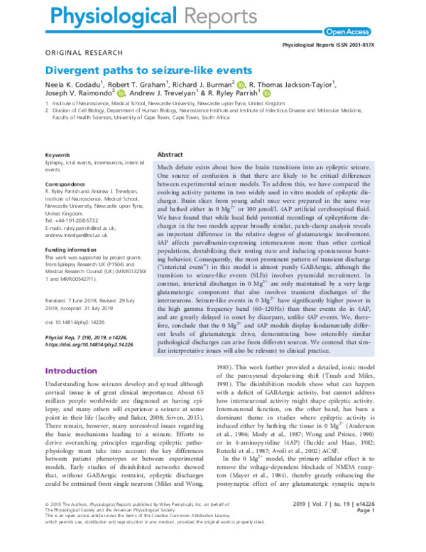 (PDF) Divergent Paths