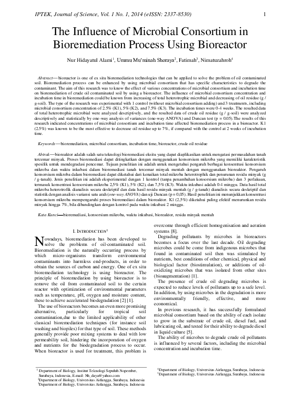 (PDF) The Influence of Microbial Consortium in Bioremediation Process ...