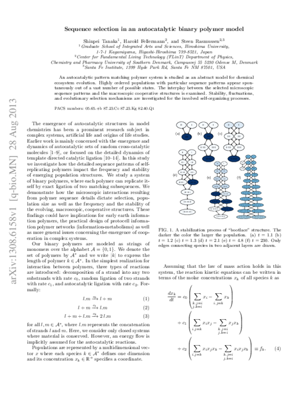 (PDF) Sequence selection in an autocatalytic binary polymer model