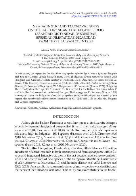 (PDF) New faunistic and taxonomic notes on the Haplogyne and Cribellate ...