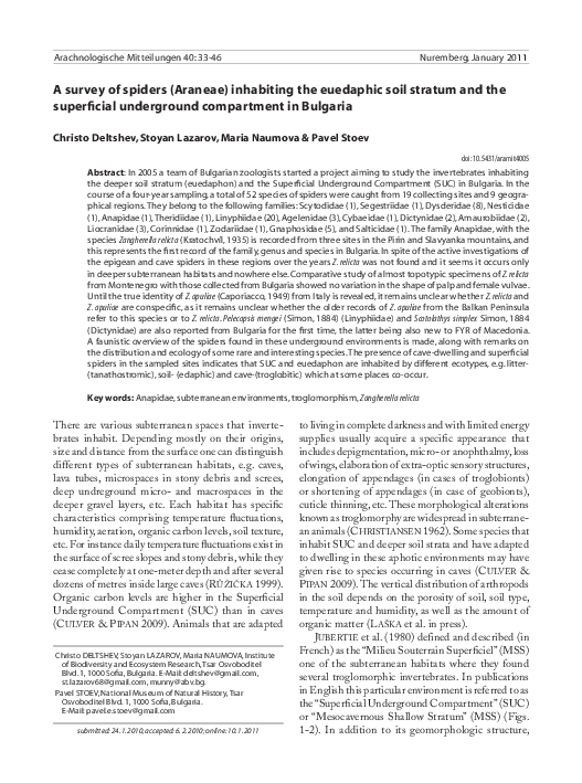 (PDF) A survey of spiders (Araneae) inhabiting the euedaphic soil ...
