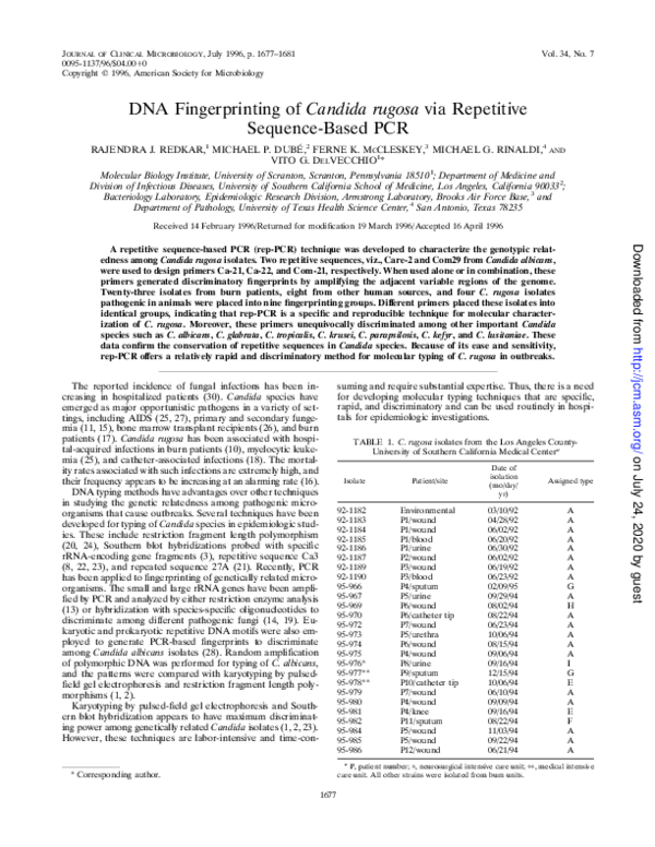 (PDF) DNA fingerprinting of Candida rugosa via repetitive sequence ...