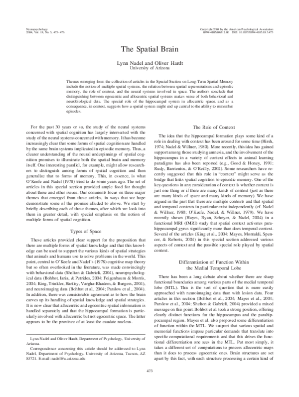 (PDF) The spatial brain