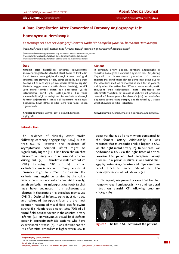 (PDF) A Rare Complication After Conventional Coronary Angiography: Left ...