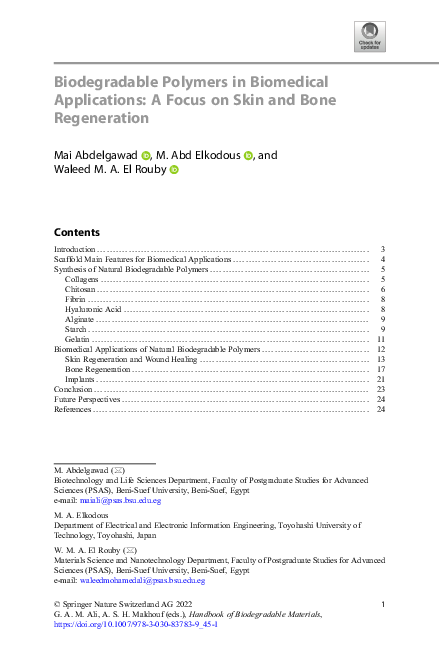 (PDF) Biodegradable Polymers in Biomedical Applications: A Focus on Skin and Bone Regeneration