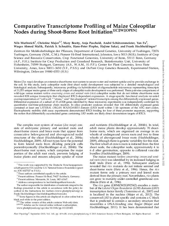 Pdf Comparative Transcriptome Profiling Of Maize Coleoptilar Nodes