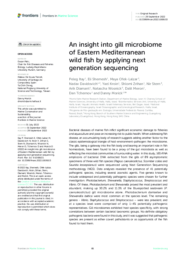 (PDF) An insight into gill microbiome of Eastern Mediterranean wild ...