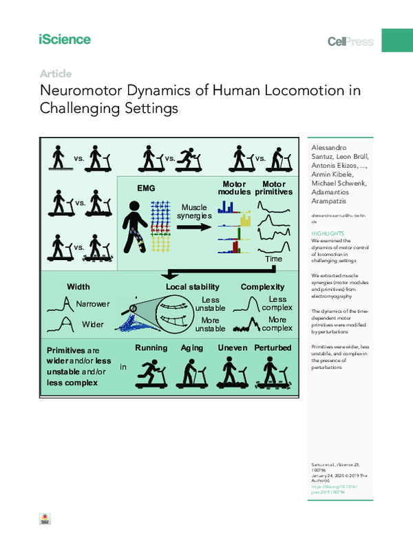 (PDF) Neuromotor Dynamics of Human Locomotion in Challenging Settings