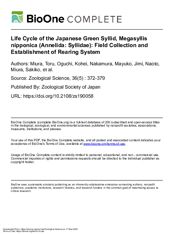 (PDF) Life Cycle of the Japanese Green Syllid, Megasyllis nipponica ...