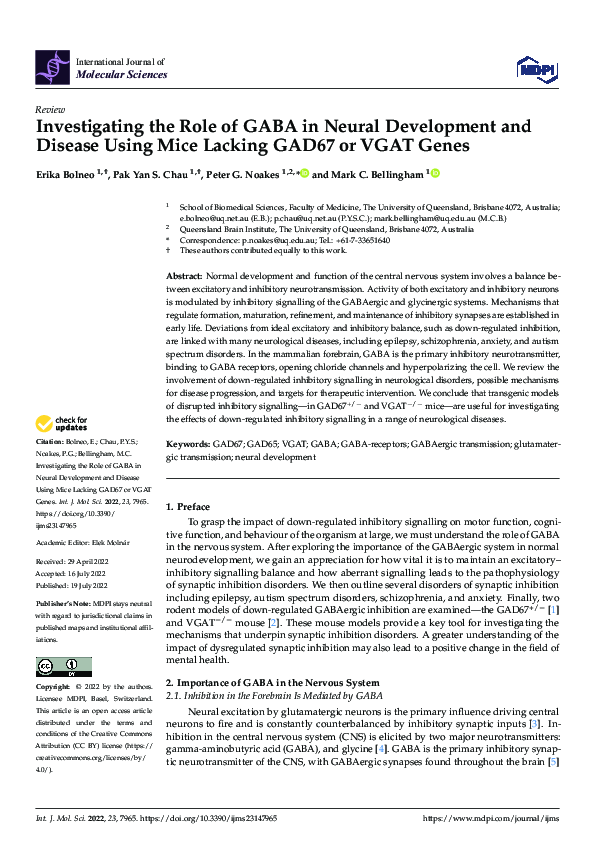 (PDF) Investigating the Role of GABA in Neural Development and Disease Using Mice Lacking GAD67 ...