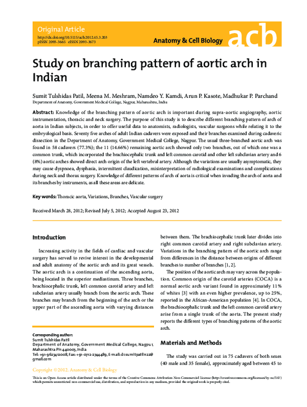 (PDF) Study on branching pattern of aortic arch in Indian