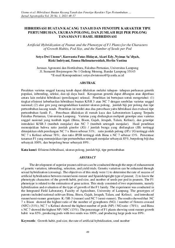 (PDF) Hibridisasi Buatan Kacang Tanah dan Fenotipe Karakter Tipe ...