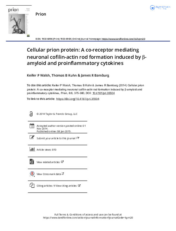 (PDF) Cellular prion protein: A co-receptor mediating neuronal cofilin ...