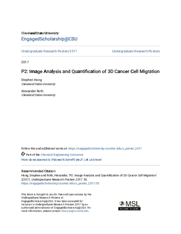 (PDF) P2: Image Analysis and Quantification of 3D Cancer Cell Migration