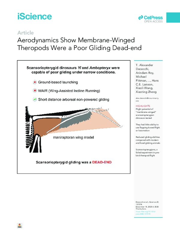 (PDF) Aerodynamics Show Membrane-Winged Theropods Were a Poor Gliding ...