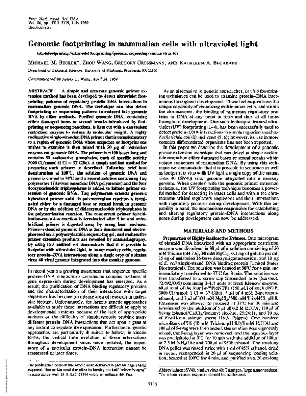 (PDF) Genomic footprinting in mammalian cells with ultraviolet light