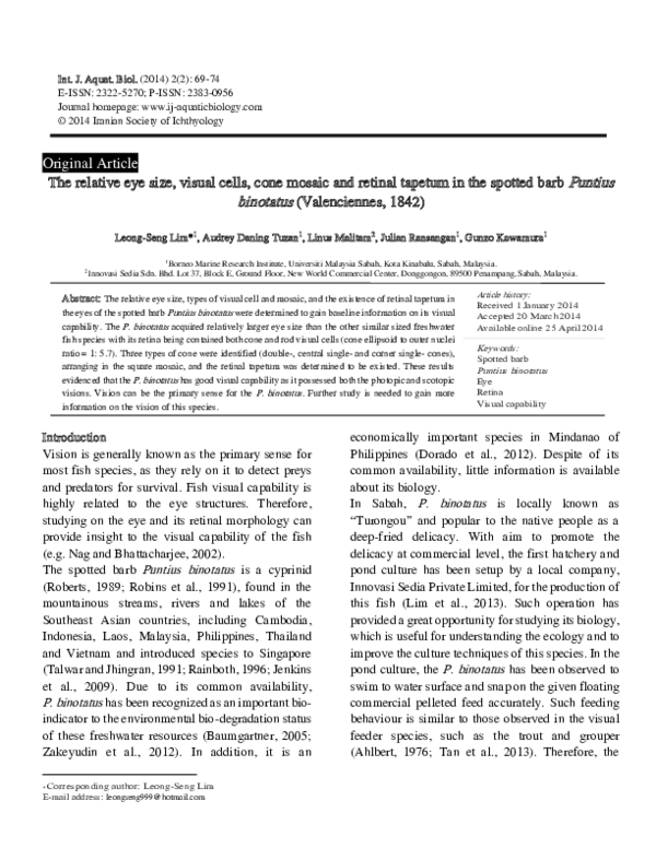 (PDF) The relative eye size, visual cells, cone mosaic and retinal ...
