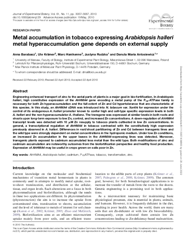(PDF) Metal accumulation in tobacco expressing Arabidopsis halleri ...
