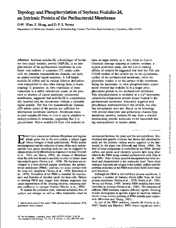 (PDF) Topology and phosphorylation of soybean nodulin-26, an intrinsic ...