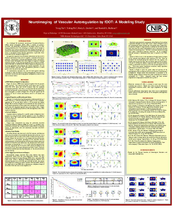 (PDF) Neuroimaging of Vascular Autoregulation by fDOT: A Modeling Study | Harry Graber ...
