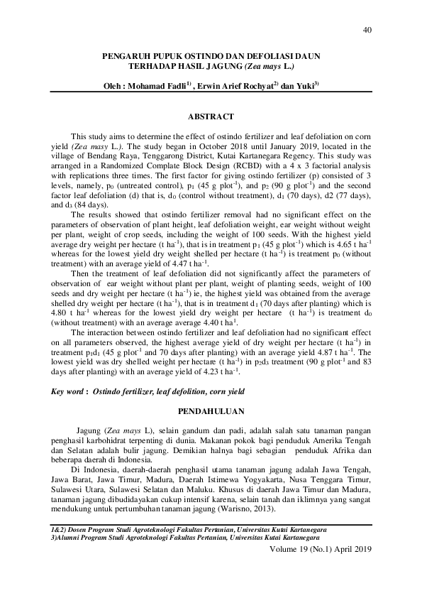 (PDF) PENGARUH PUPUK OSTINDO DAN DEFOLIASI DAUN TERHADAP HASIL JAGUNG (Zea mays L.)