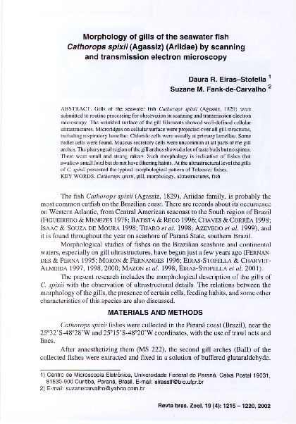 (PDF) Morphology of gills of the seawater fish Cathorops spixii ...