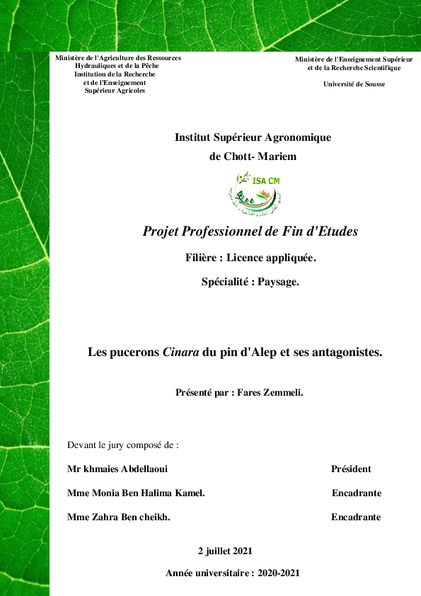 (PDF) Projet Professionnel de Fin d'étude Fares Zemmeli 2021.