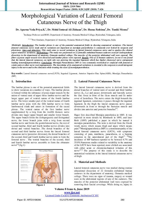 (PDF) Morphological Variation of Lateral Femoral Cutaneous Nerve of the Thigh