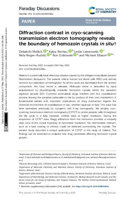 (PDF) Diffraction contrast in cryo-scanning transmission electron ...