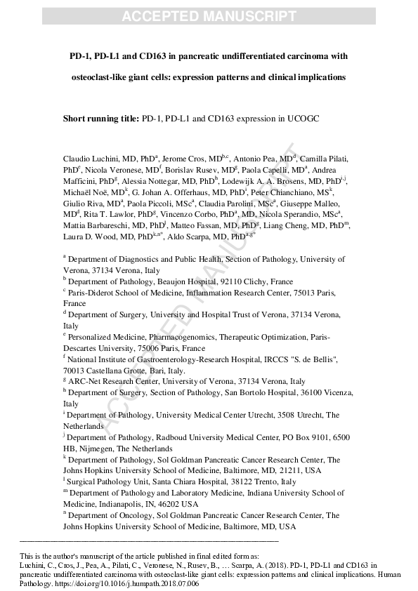 (PDF) PD-1, PD-L1 and CD163 in pancreatic undifferentiated carcinoma with osteoclast-like giant ...