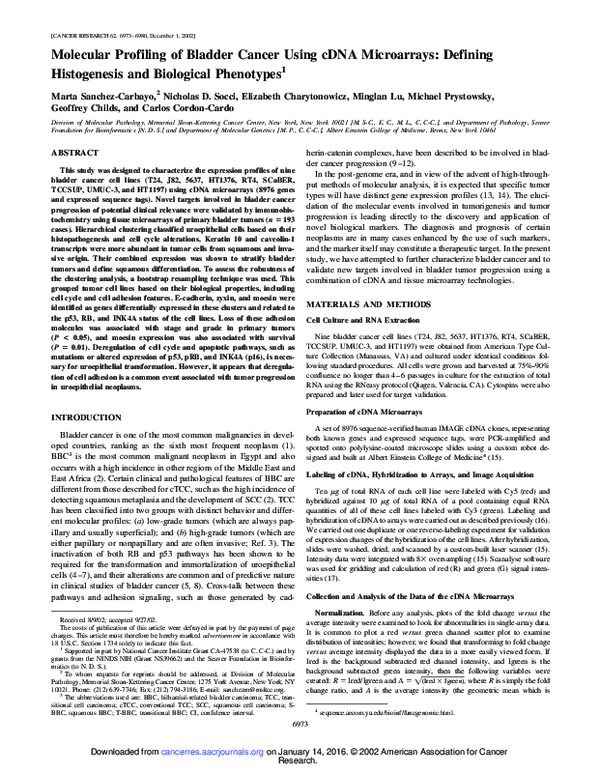 (PDF) Molecular Profiling of Bladder Cancer Using cDNA Microarrays: Defining Histogenesis and ...