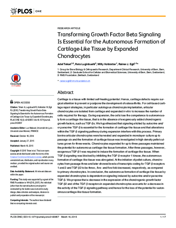 (PDF) Transforming Growth Factor Beta Signaling Is Essential for the ...