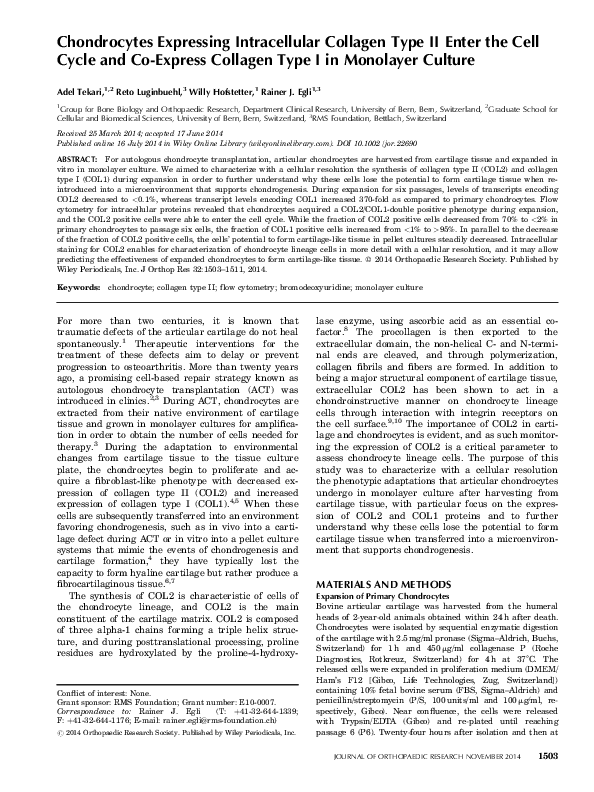 (PDF) Chondrocytes expressing intracellular collagen type II enter the ...