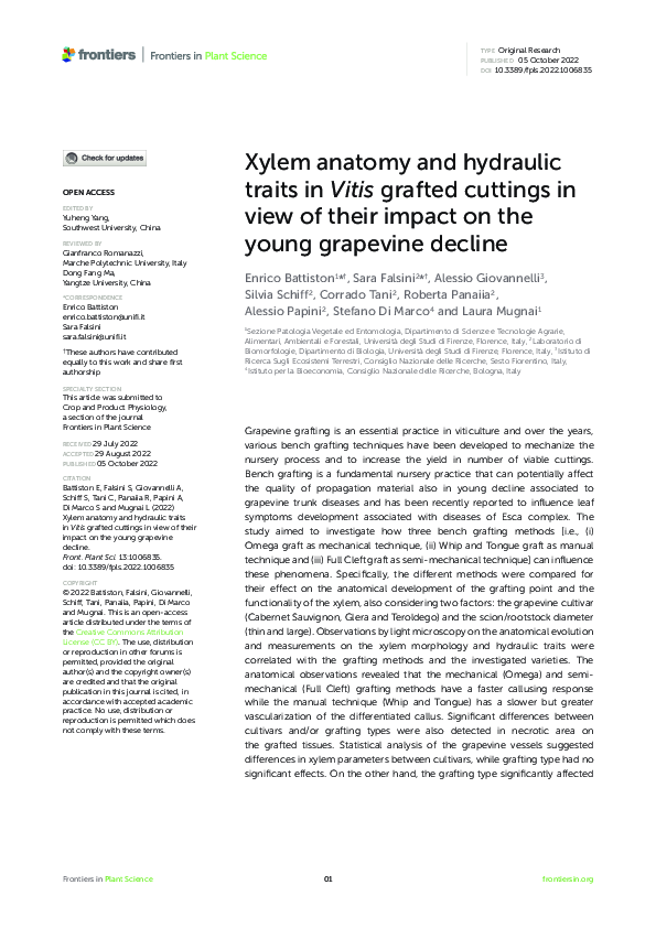(PDF) Xylem anatomy and hydraulic traits in Vitis grafted cuttings in ...
