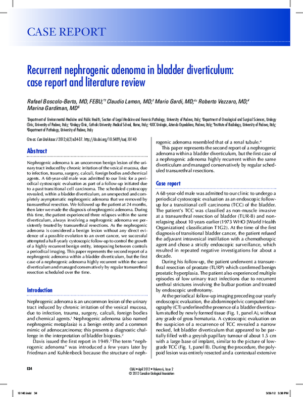 (PDF) Recurrent nephrogenic adenoma in bladder diverticulum: case ...