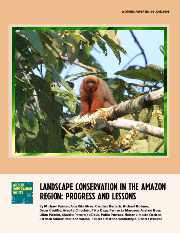 (PDF) Landscape Conservation in the Amazon Region, Progress and Lessons ...