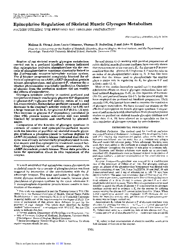 (PDF) Epinephrine regulation of skeletal muscle glycogen metabolism ...