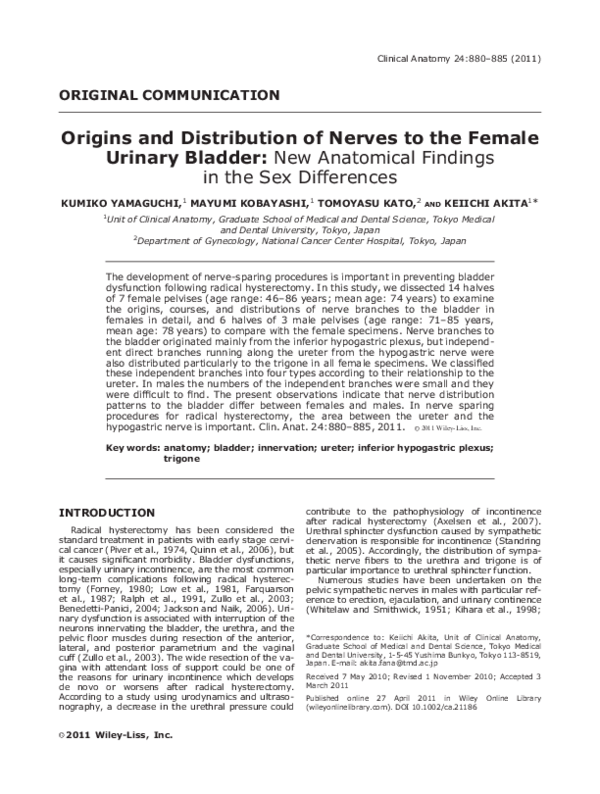 Pdf Origins And Distribution Of Nerves To The Female Urinary Bladder New Anatomical Findings