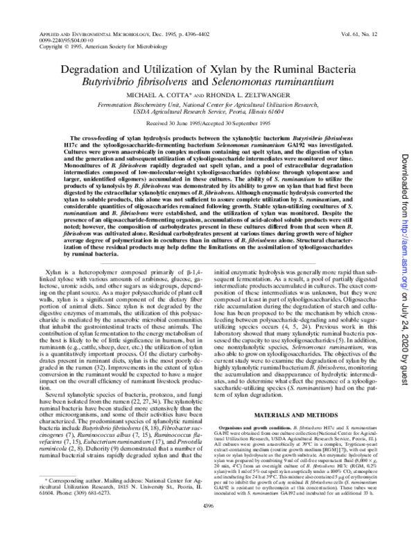 (PDF) Degradation and utilization of xylan by the ruminal bacteria ...