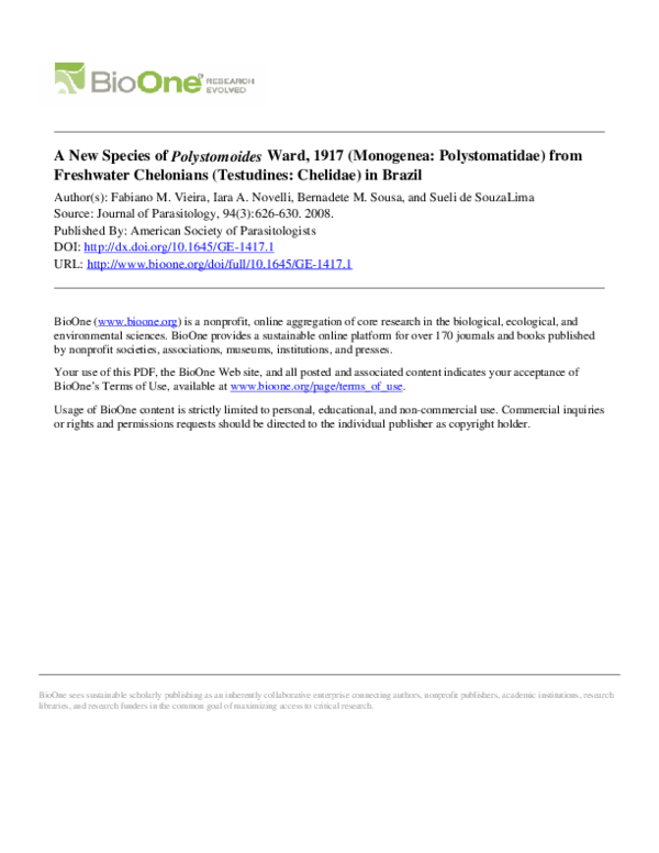 (PDF) A New Species of Polystomoides Ward, 1917 (Monogenea ...