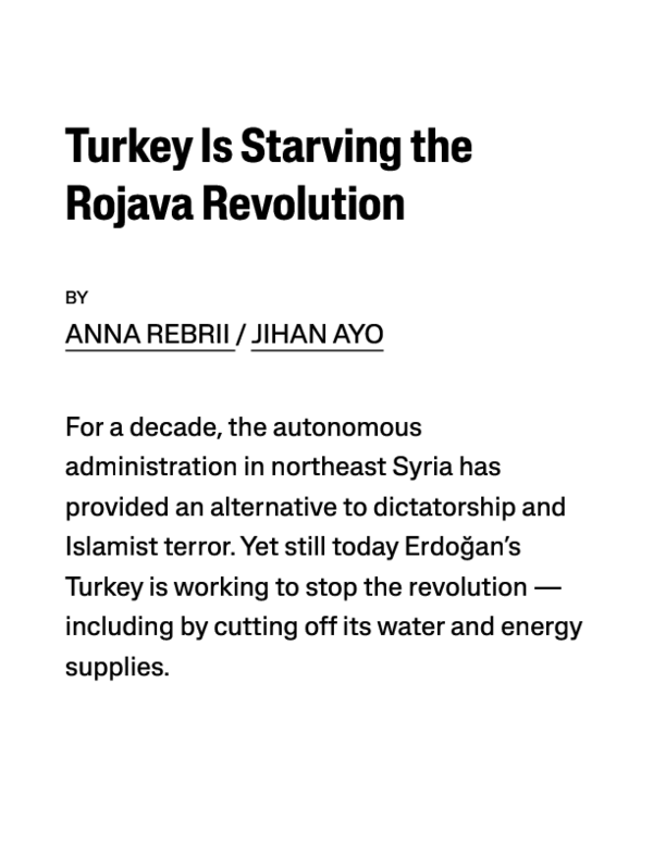 (PDF) Turkey Is Starving the Rojava Revolution | Anna Rebrii - Academia.edu