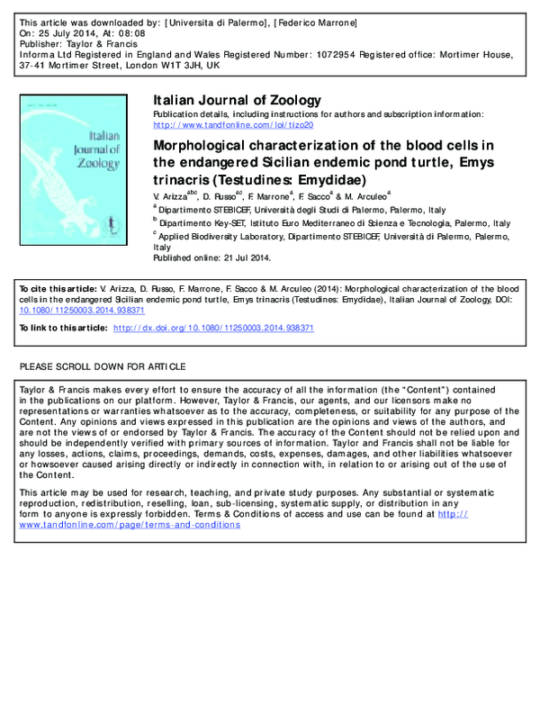 (PDF) Morphological characterization of the blood cells in the ...