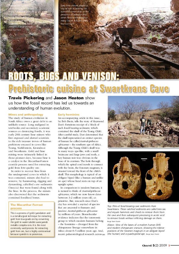 (PDF) Roots, Bugs and Venison: Prehistoric Cuisine at Swartkrans Cave