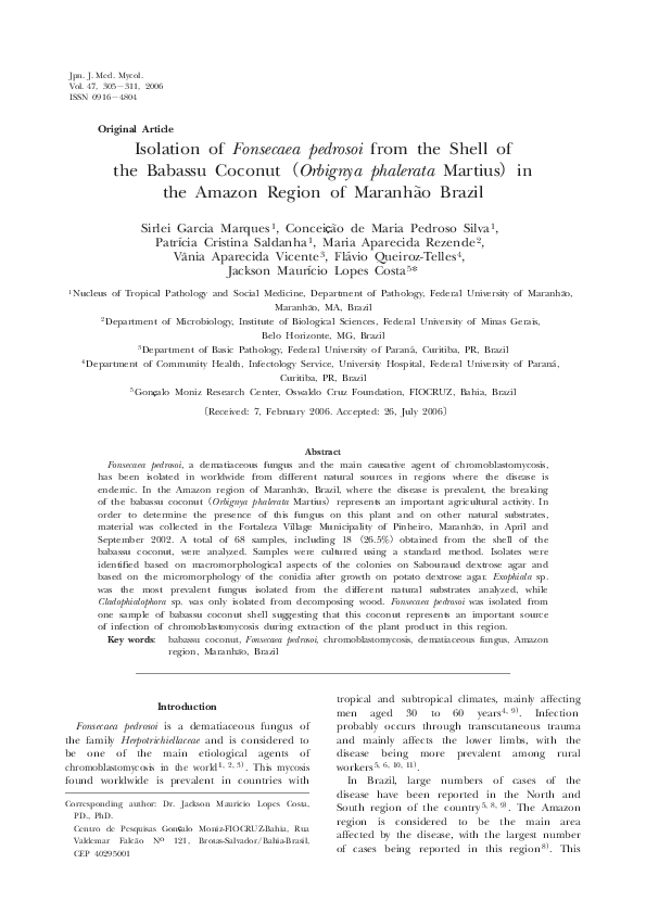 (PDF) Isolation of Fonsecaea pedrosoi from the Shell of the Babassu Coconut (Orbignya phalerata ...