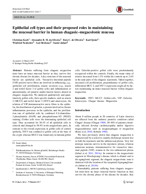 (PDF) Epithelial cell types and their proposed roles in maintaining the mucosal barrier in human ...