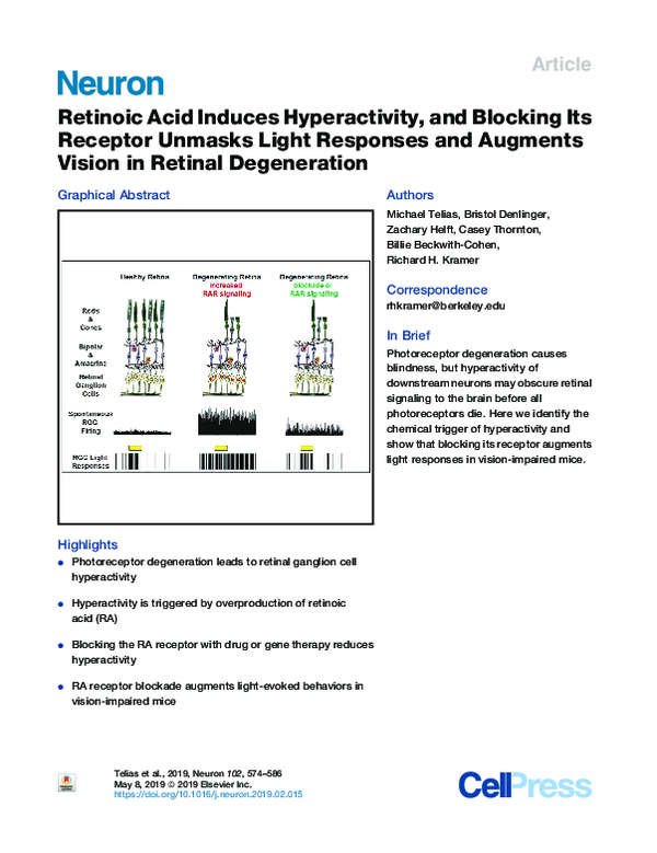 (PDF) Retinoic Acid Induces Hyperactivity, and Blocking Its Receptor ...