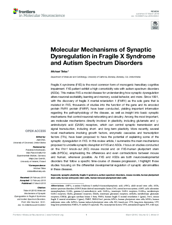 (PDF) Synaptic Dysregulation Mechanisms in Fragile X and Autism