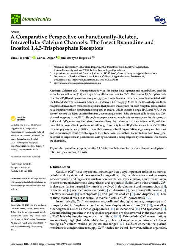 (PDF) A Comparative Perspective on Functionally-Related, Intracellular Calcium Channels: The ...