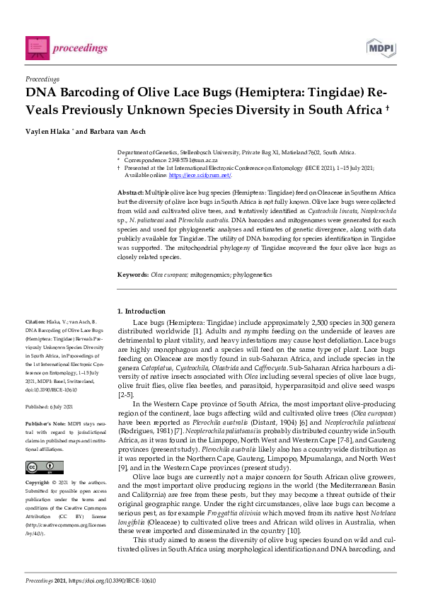 (PDF) DNA Barcoding of Olive Lace Bugs (Hemiptera: Tingidae) Re-Veals ...